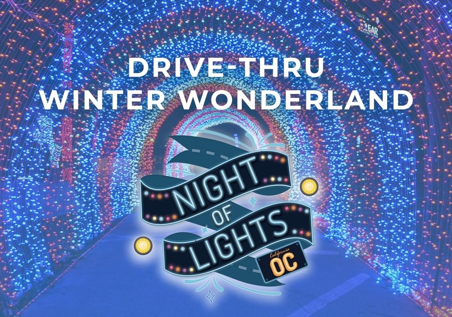 NIGHT of LIGHTS OC